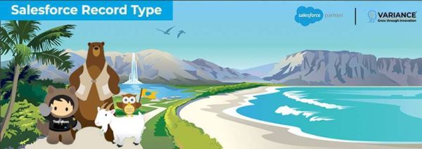 Salesforce | Salesforce Record | Salesforce Record Type