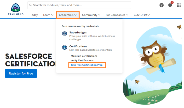 A Beginner's Guide to Salesforce Trailhead and Certification Paths