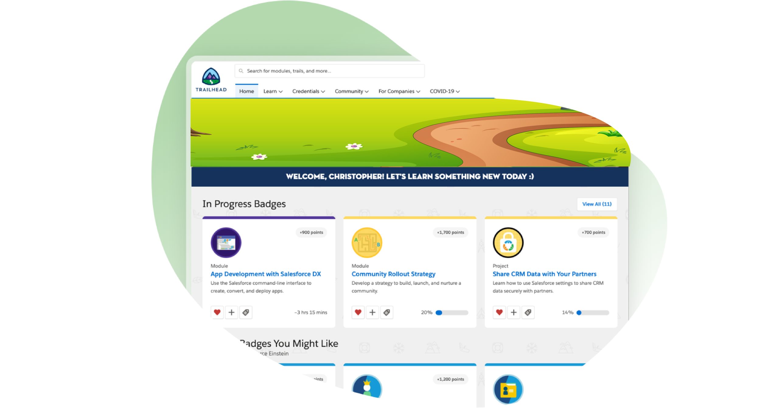 salesforce-choose-learning-path - VIPL Insights